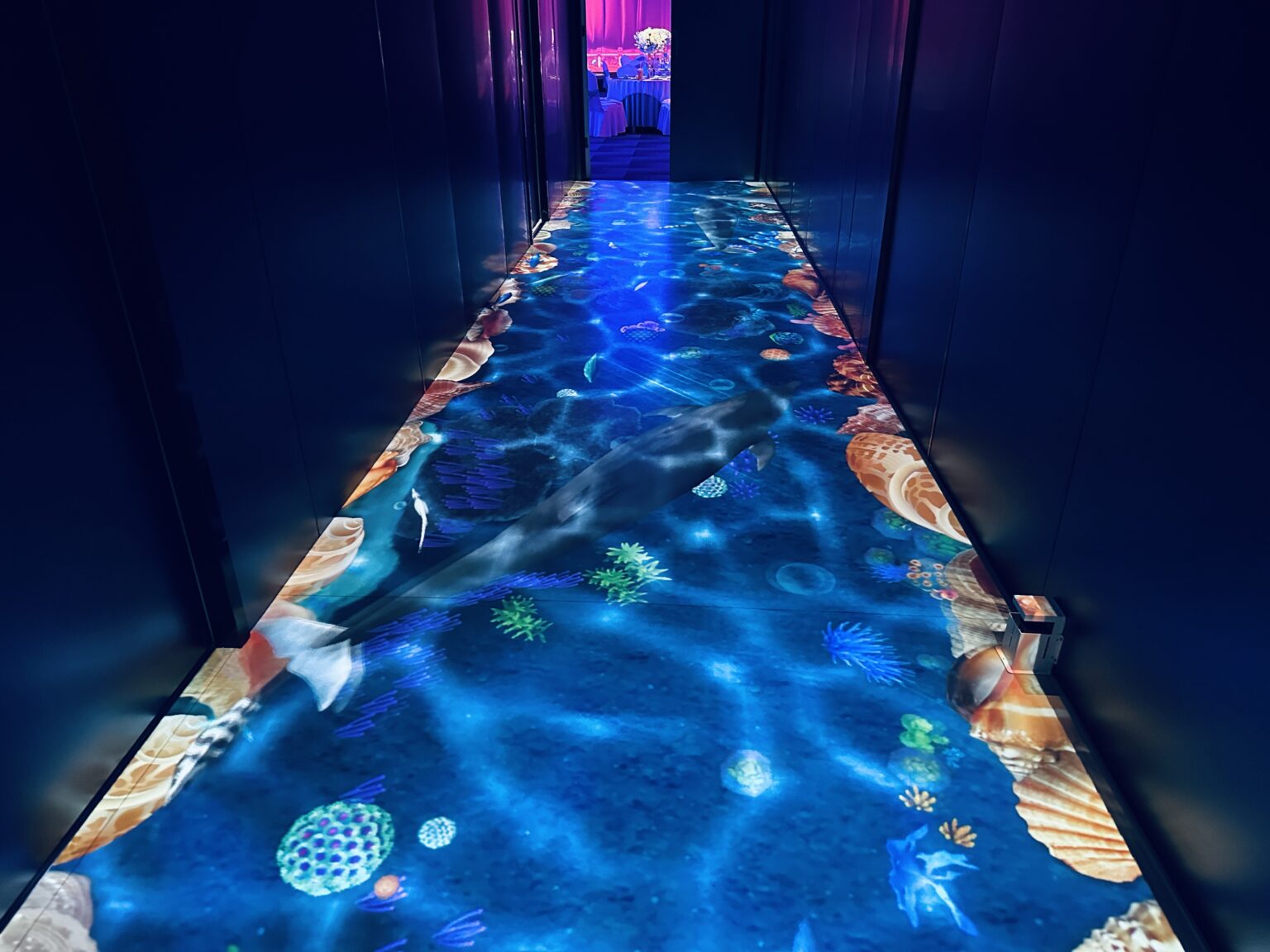 How to Choose an Interactive Floor Projection System